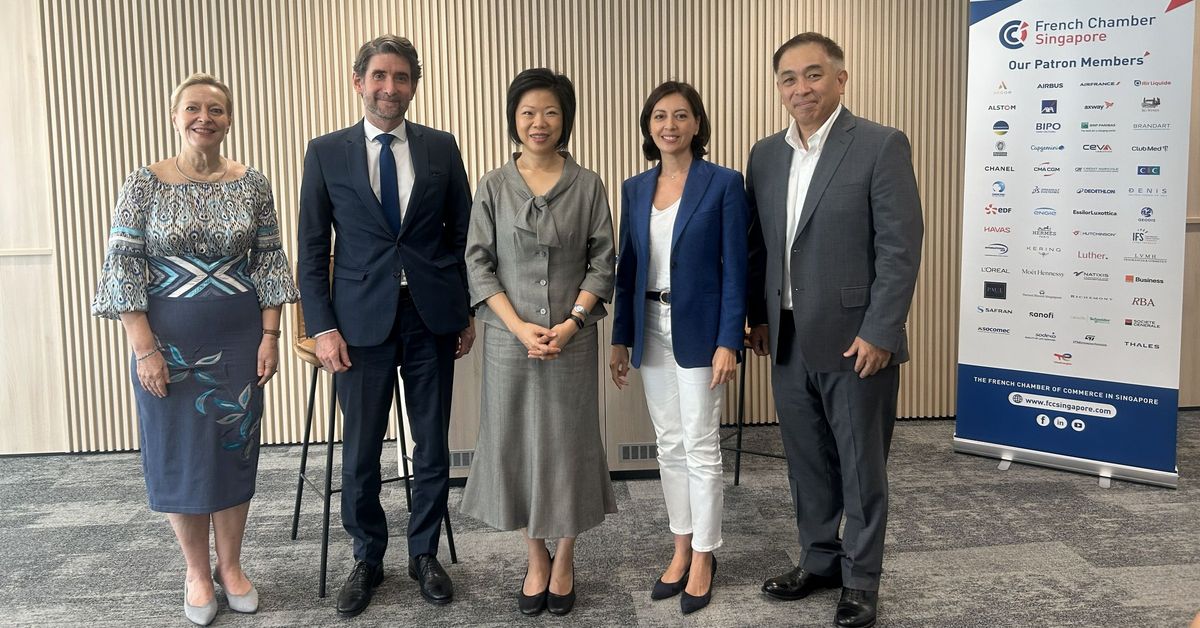 Past Event | A Conversation with Sim Ann | French Chamber of Commerce ...