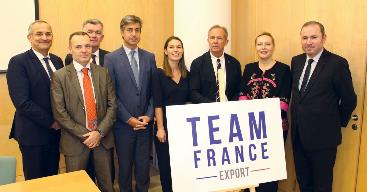 Team France Export, le “coach” des entreprises françaises pour réussir ...