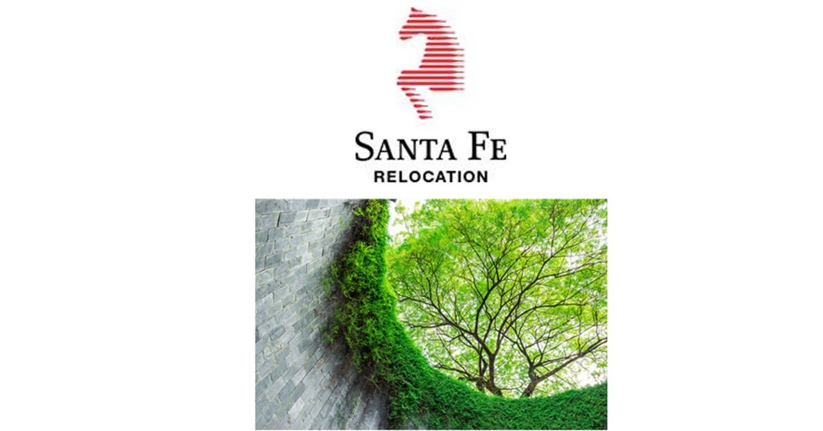 Santa Fe Relocation- Immigration update: Singapore | COVID-19 ...
