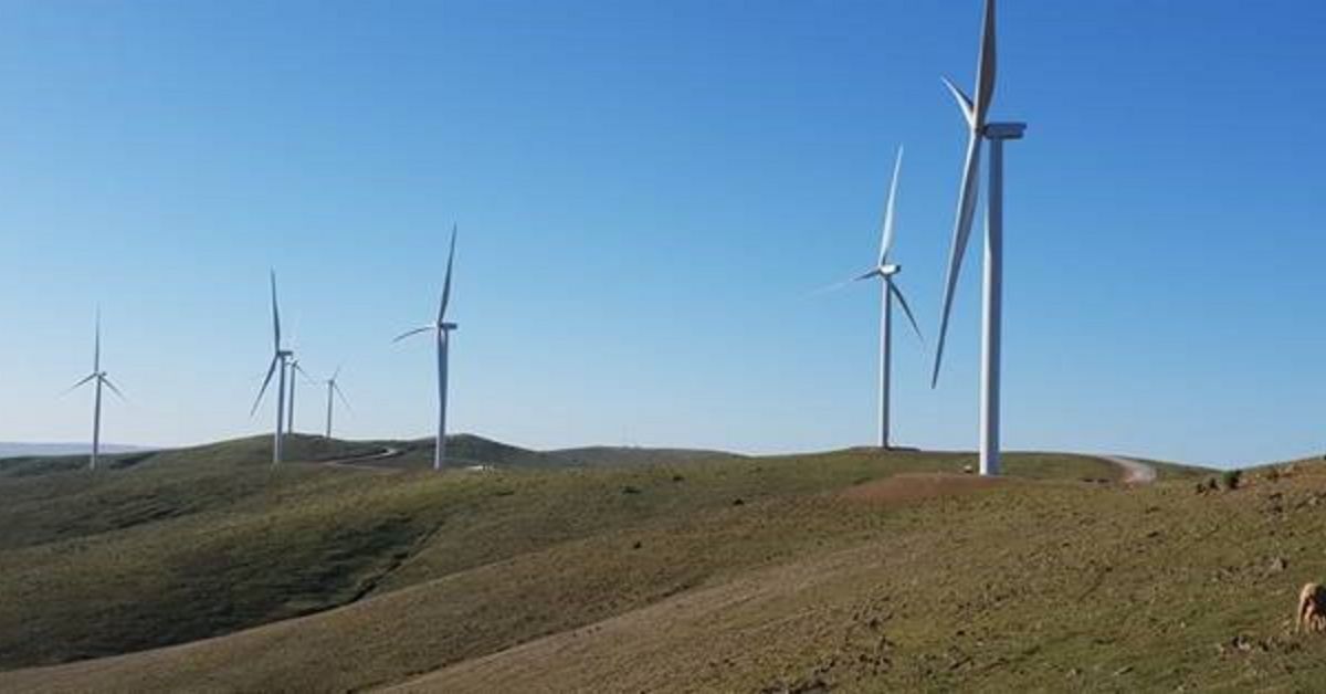 ENGIE officially opens the Willogoleche Wind Farm in Hallett, South ...