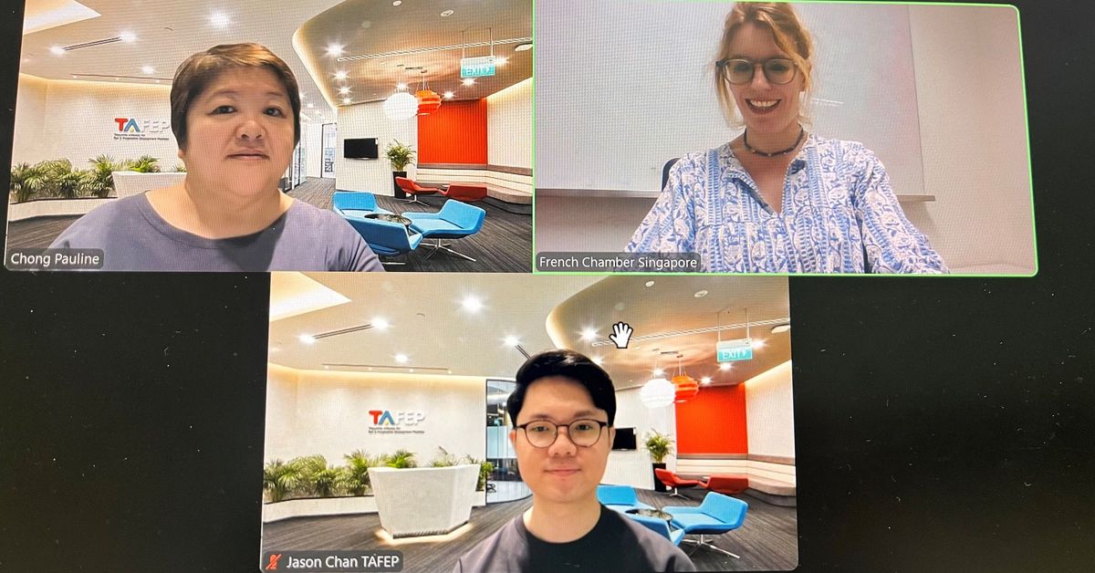 Past Event | TAFEP Briefing on the Tripartite Guidelines on Flexible ...