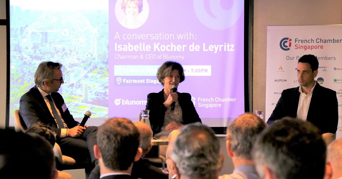 Past Event | A conversation with Mrs. Isabelle Kocher de Leyritz ...