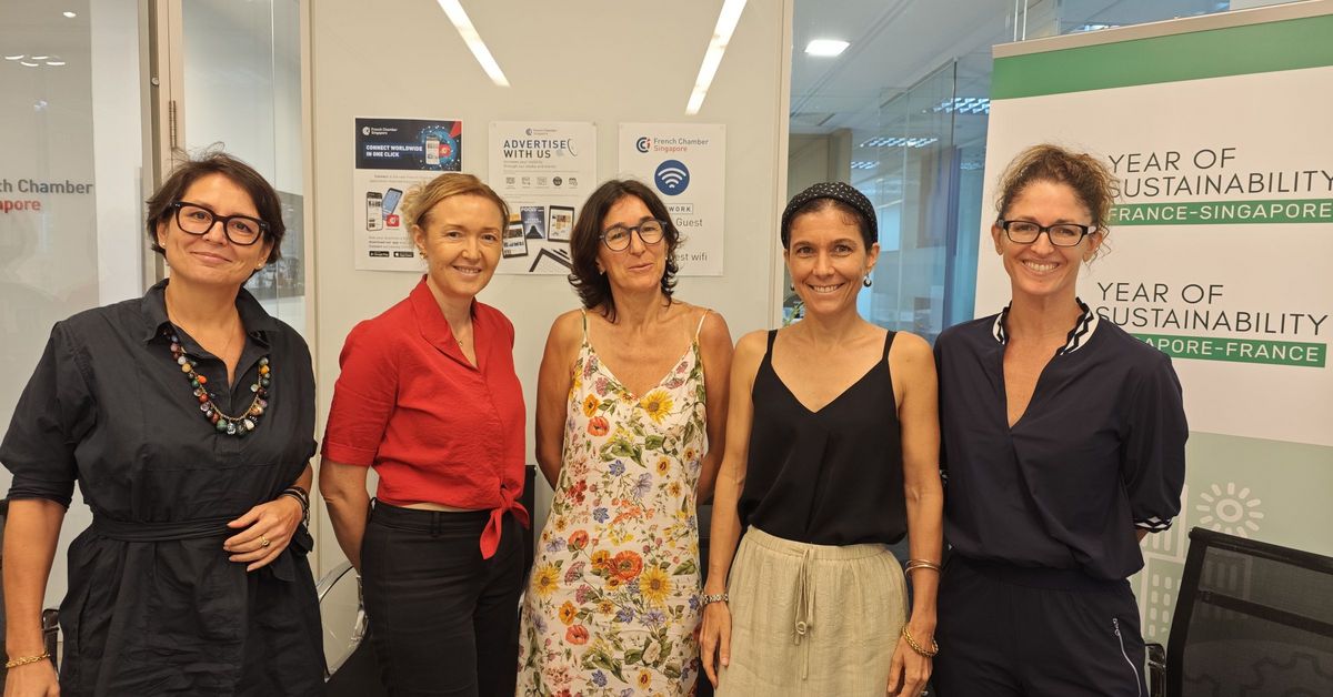 Past Event| Women Mastermind Group - May 2024 | French Chamber of ...