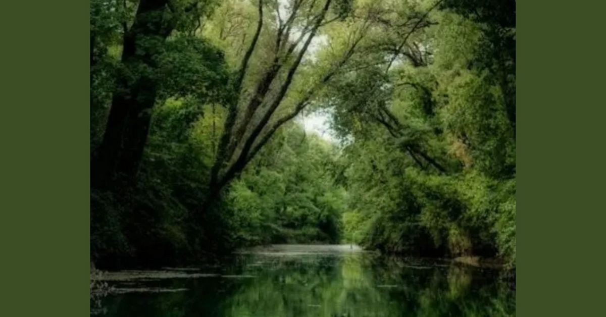 Kering Awarded CDP 'Triple A' Score for Second Consecutive Year ...