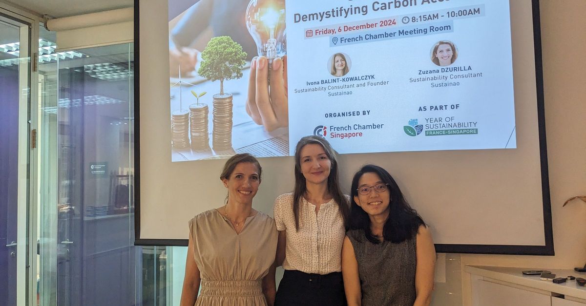 Past Event | Sustainability Club - Scope 1, 2, 3: Demystifying Carbon Accounting | French ...