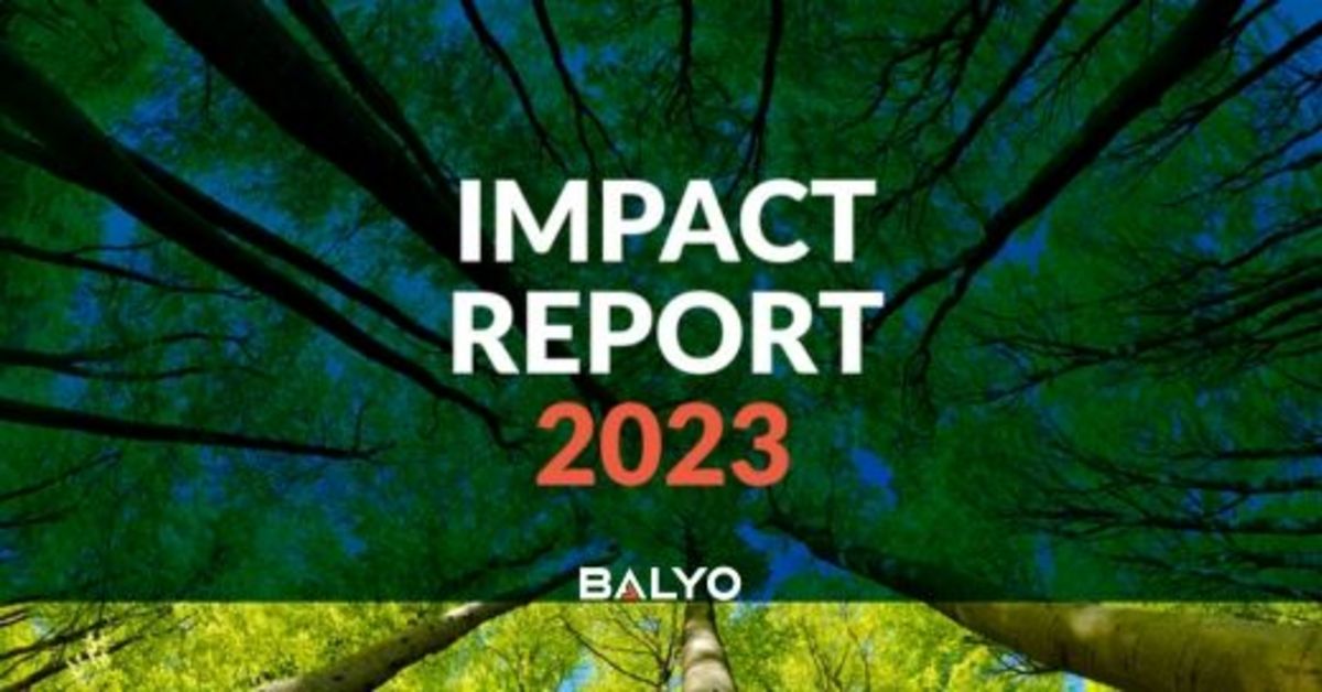 BALYO Leads the Way to Smarter and Greener Logistics | French Chamber ...