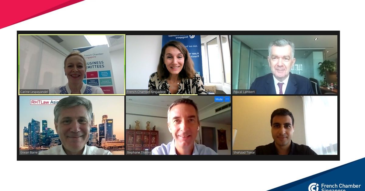 LIST OF FRENCH CHAMBER BOARD MEMBERS 2021/2023 | French Chamber of ...