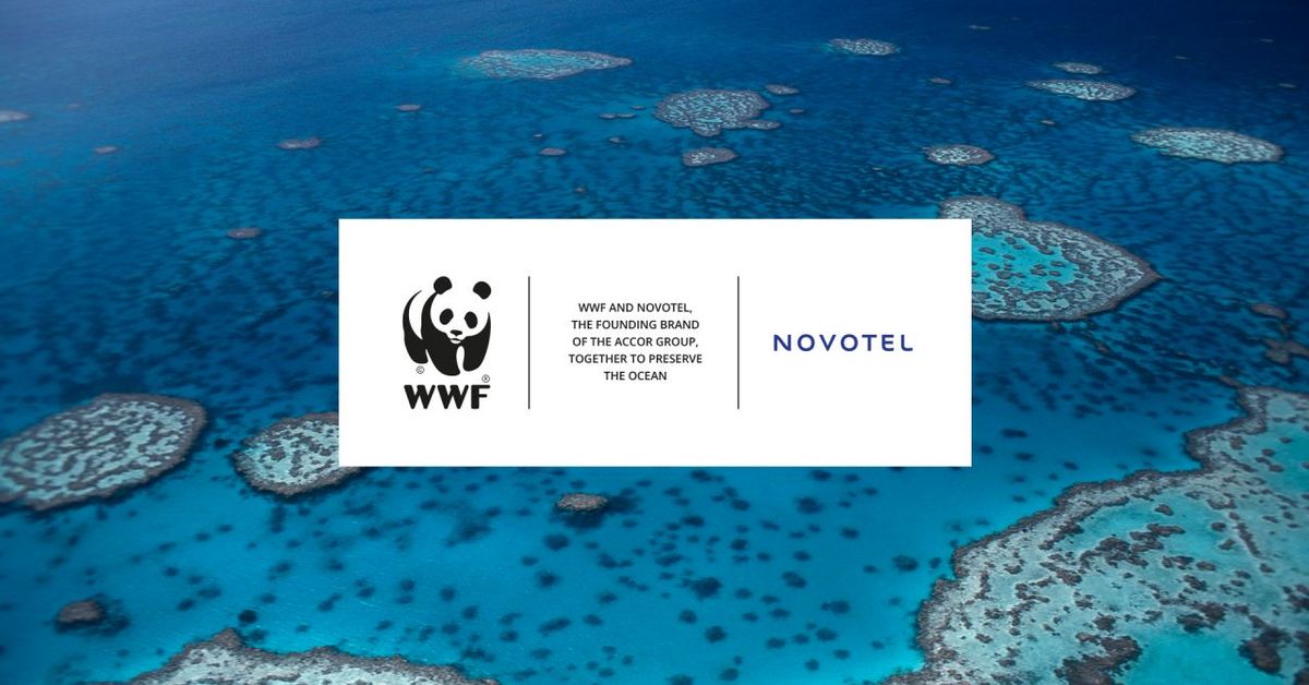 Novotel Celebrates One Year of Ocean Commitment and Sustainable ...