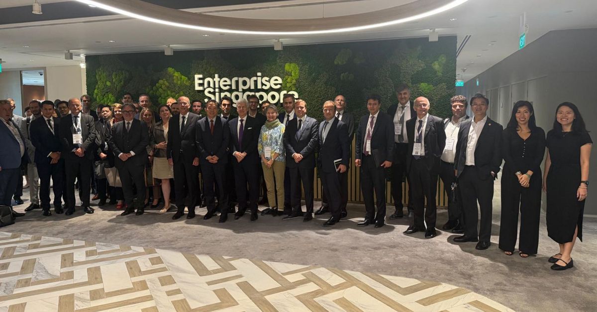 Past Event | Echange avec M. PNG Cheong Boon, Chairman de Singapore ...