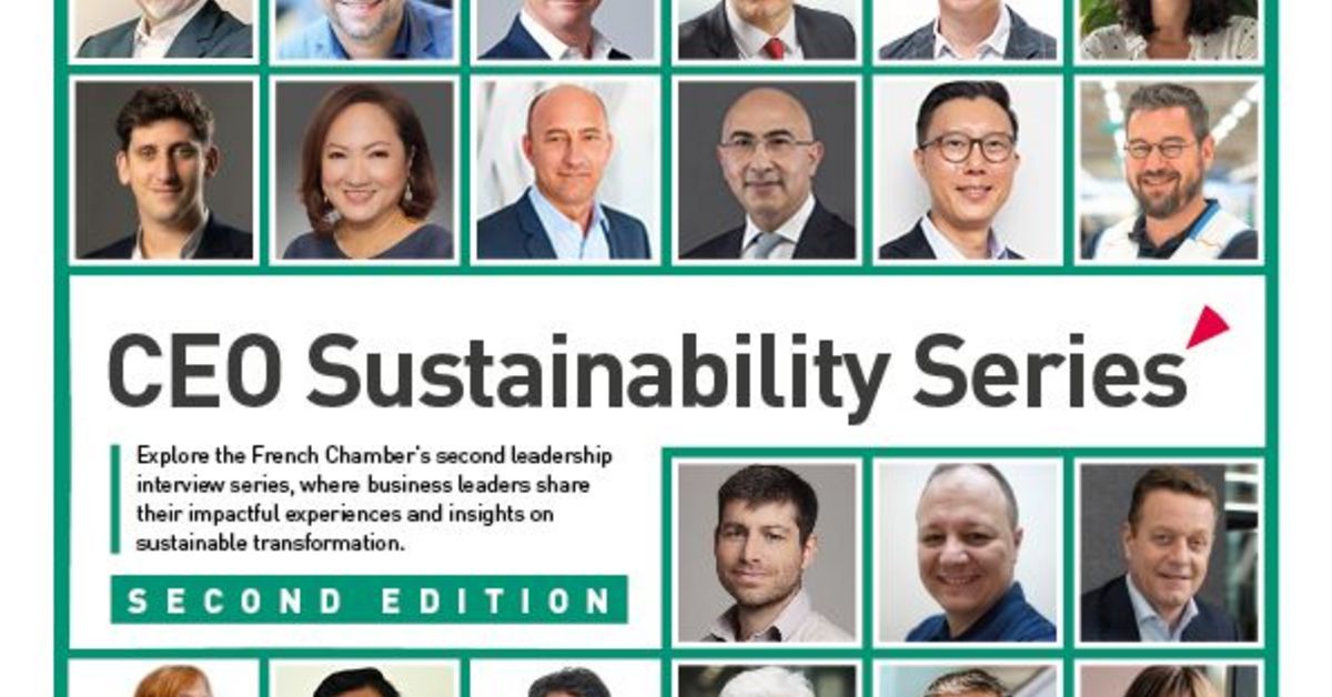 CEO SUSTAINABILITY SERIES SECOND EDITION | French Chamber of Commerce ...