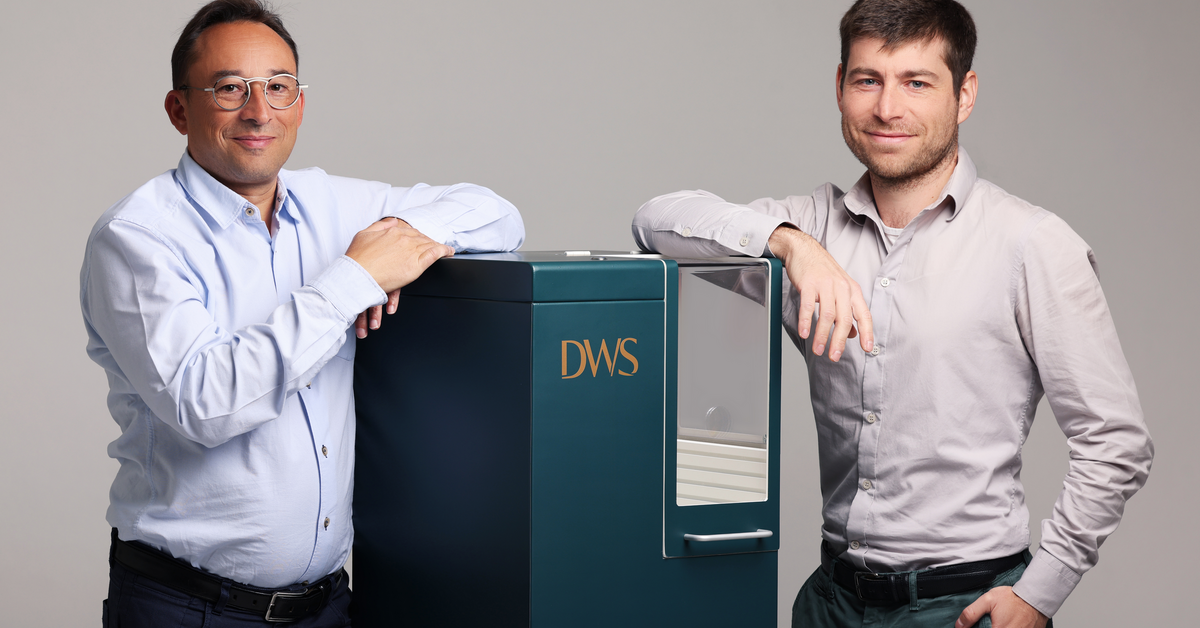 The birth of DWS : when theories meet practices | French Chamber of ...